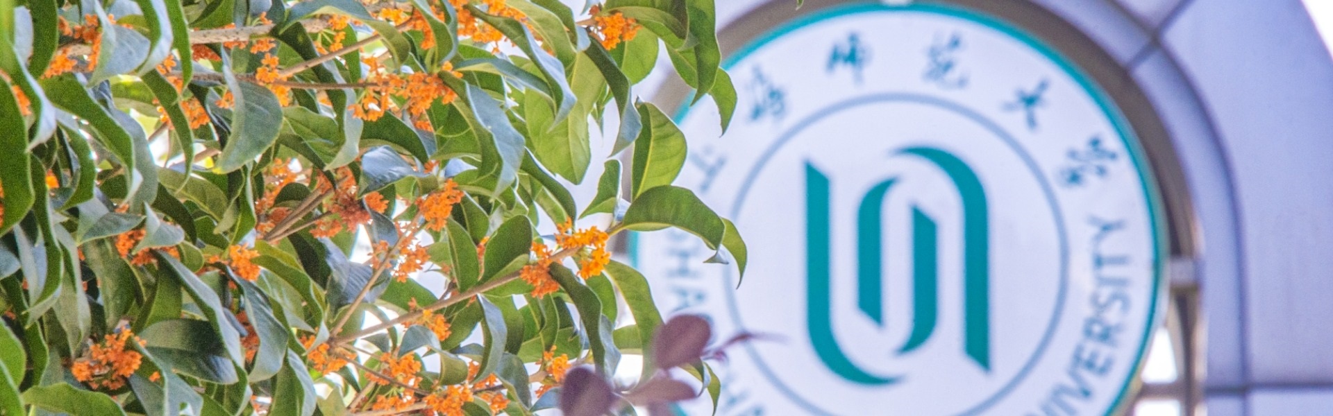 Conference Materials Download 会议资料下载